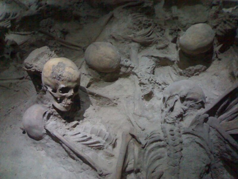 Naples: Full-Day Pompeii & Herculaneum Wine Tasting Tour - Exploring the Naples: Full-Day Pompeii & Herculaneum Wine Tasting Tour