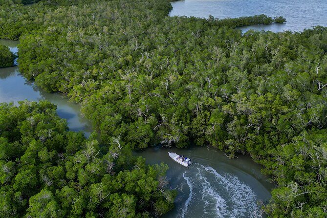 Naples Half-Day Fly Fishing Activity - Who Should Consider This Tour?
