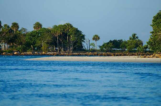 Naples Half-Day Private Eco Tour and Shelling Trip - Final Thoughts