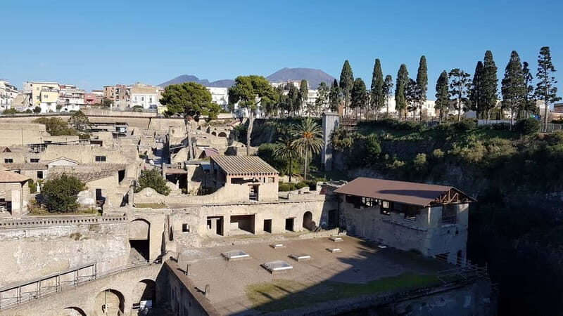 Naples: Herculaneum and Vesuvius Day Trip - Key Points