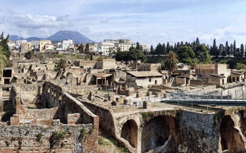 Naples: Herculaneum Entry Ticket with Digital Audio Guide - What is Included in the Ticket?