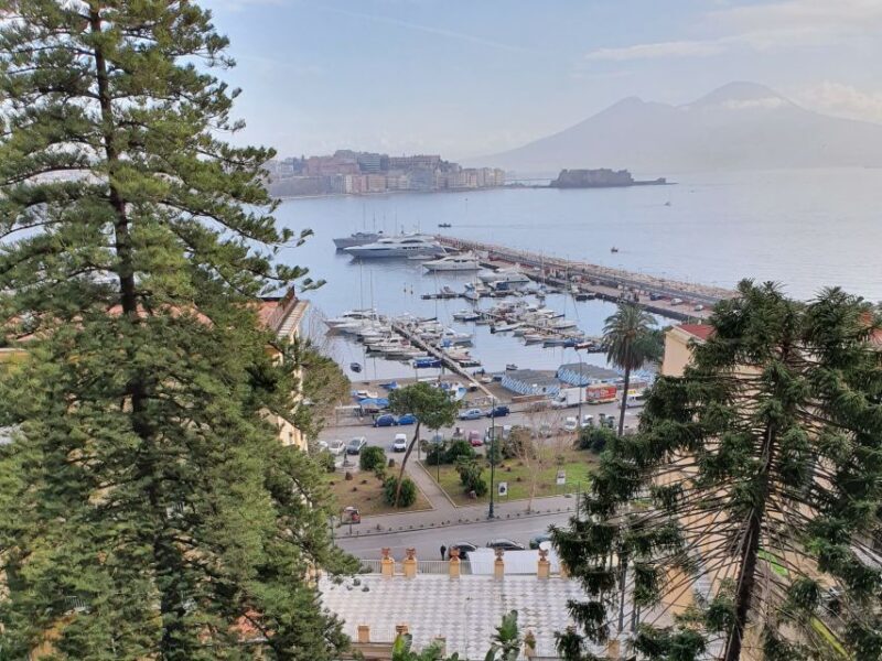 Naples: Naples, Pompeii, and Vesuvius Full-Day Tour - Final Thoughts