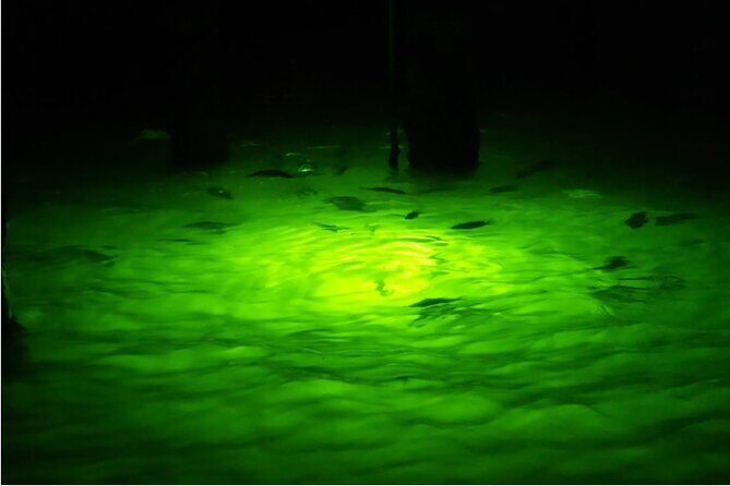 Naples Night Fishing Trips - The Value of the Experience: Is It Worth the Price?