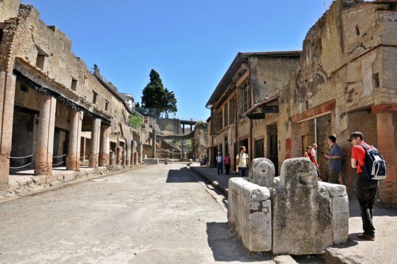 Naples: Pompeii and Herculaneum Private Walking Tour - Whats Included and Whats Not