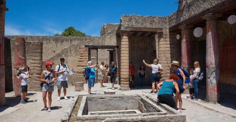 Naples: Pompeii and Herculaneum Private Walking Tour - Practical Tips for the Tour