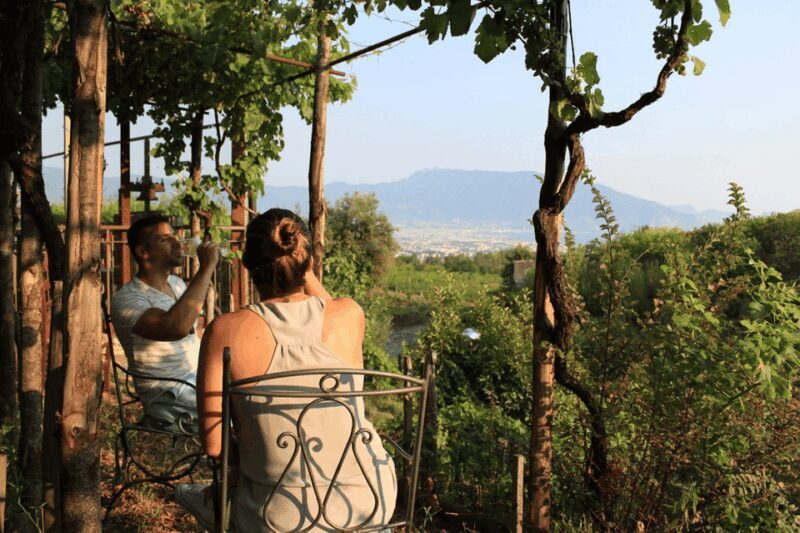 Naples: Pompeii and Herculaneum Tour with Tickets and Lunch - Detailed Review of the Tour Experience