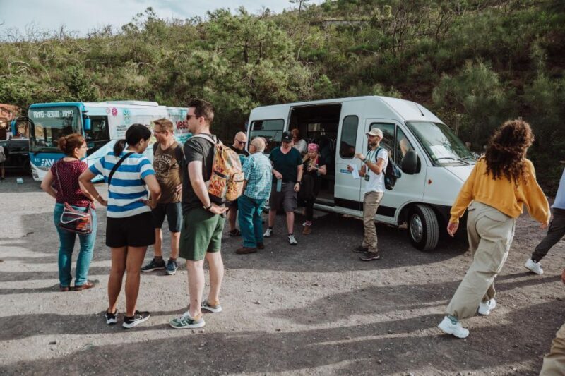 Naples: Pompeii and Mount Vesuvius Entry Tickets and Tour - Who Would Love This Tour?
