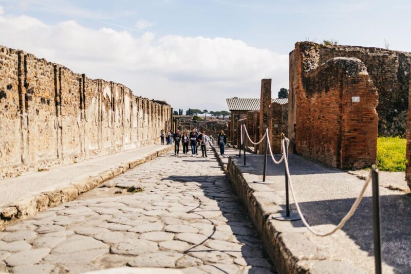 Naples: Pompeii and Mt. Vesuvius with Lunch and Wine Tasting - Naples: Pompeii and Mt. Vesuvius with Lunch and Wine Tasting – An Honest Guide
