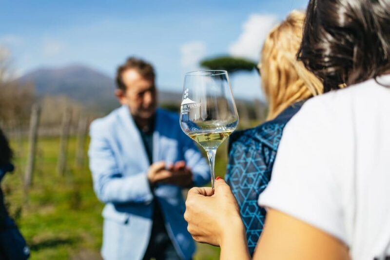 Naples: Pompeii and Mt. Vesuvius with Lunch and Wine Tasting - Exploring Pompeii: Ancient Rome Preserved