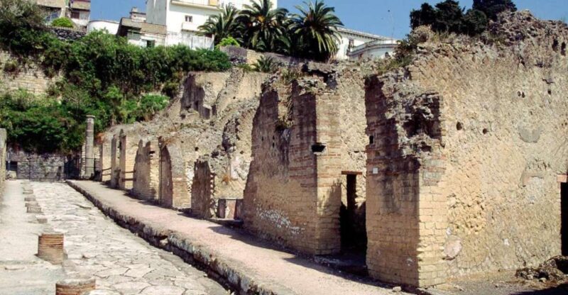 Naples: Pompeii, Herculaneum, and Vesuvius Tour by Minivan - Key Points