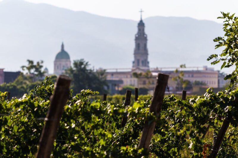 Naples: Pompeii Wine Tasting With Lunch - Practical Tips for Participants