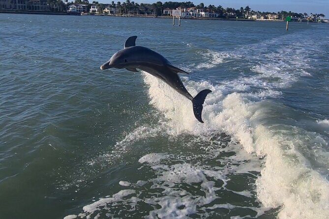 Naples Private Boat with All Beach Amenities and Captain - Insights from Past Travelers