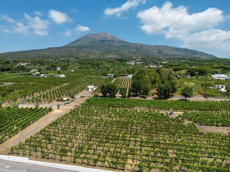 Naples: Private Pompeii & Vineyard Escape with Local - An in-depth look at the experience