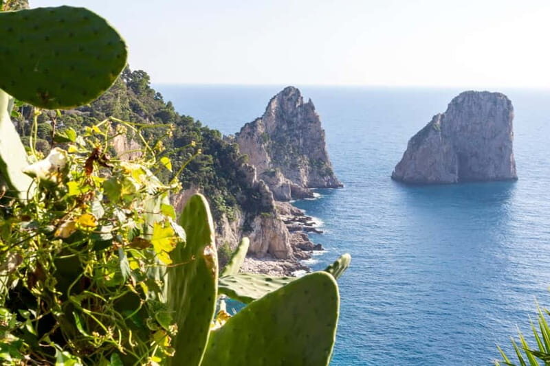 Naples: Sun, Sea, and Swim Capri and Positano Dream Cruise - The Details: How This Tour Works