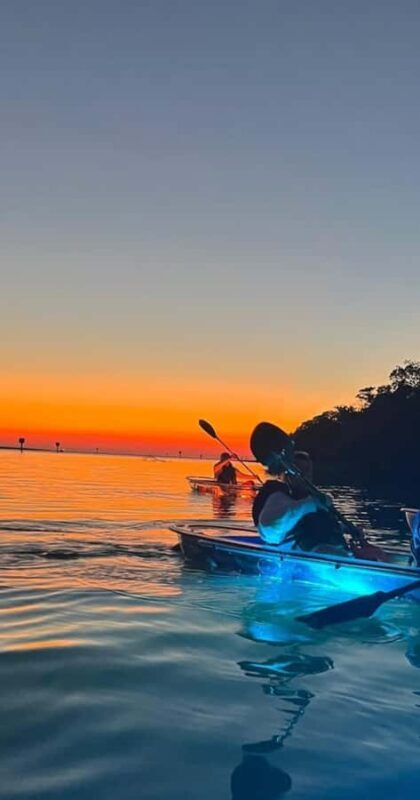Naples: Sunset and Glow Clear Kayak Tour - An In-Depth Look at the Naples Sunset and Glow Kayak Tour