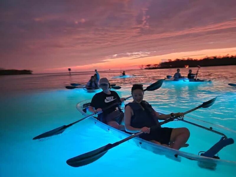 Naples: Sunset and Glow Clear Kayak Tour - Who Will Love This Tour?