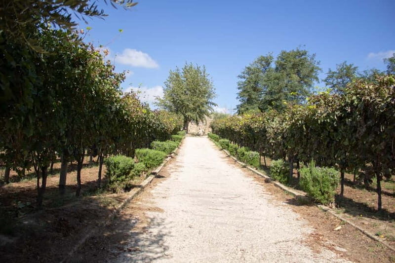 Naples Tuk Tuk Experience: Panoramas and Vineyards. - Key Points