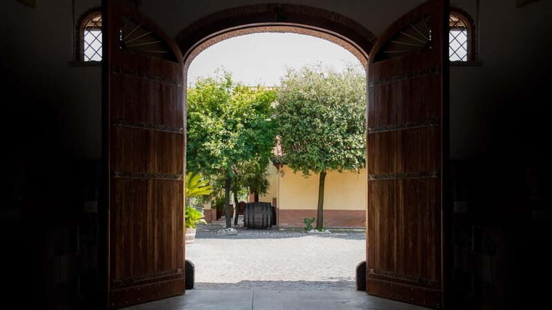 Naples Tuk Tuk Experience: Panoramas and Vineyards. - Vineyard Experience at Cantine Astroni