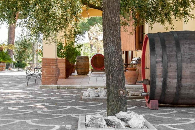 Naples Tuk Tuk Experience: Panoramas and Vineyards. - Final Thoughts: Is It Worth It?