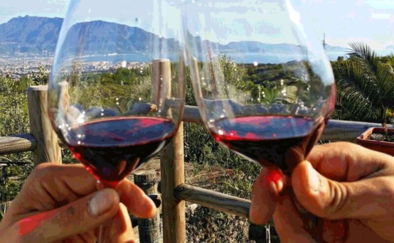 Naples: Vesuvius Half-Day Trip with Lunch and Wine Tasting - Who Might Want to Know More Before Booking