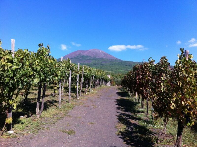 Naples: Vesuvius Half-Day Trip with Lunch and Wine Tasting - FAQ
