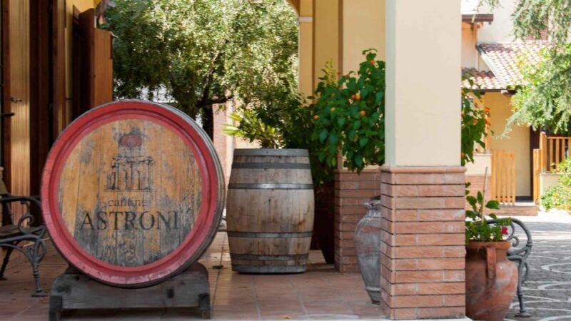 Naples: winery tour & wine tasting on Astroni crater - Key Points