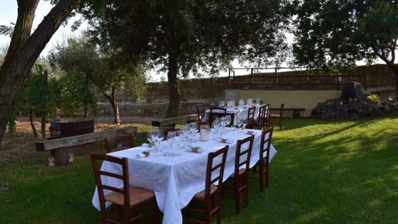 Naples: winery tour & wine tasting on Astroni crater - Who Should Consider This Tour?