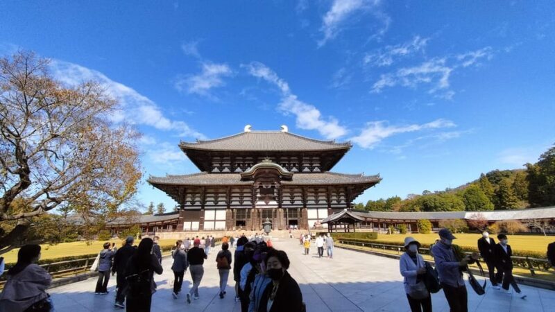 Nara: 3-Hour Guided Tour with Deer, Great Buddha & Shrines - Authentic Encounters and Authenticity