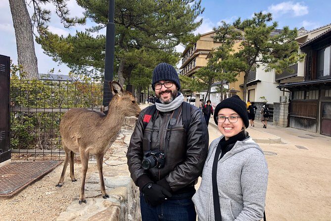 Nara 6hr Private Tour with Government-Licensed Guide - Key Points
