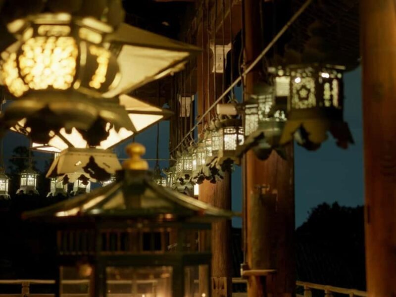 Nara After Dark: Sacred Deer, Lantern Walk with Hidden Views - A Deeper Look at Nara After Dark