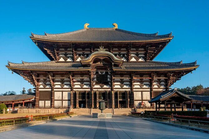 Nara Afternoon Tour from Kyoto - A Detailed Look at the Nara Afternoon Tour