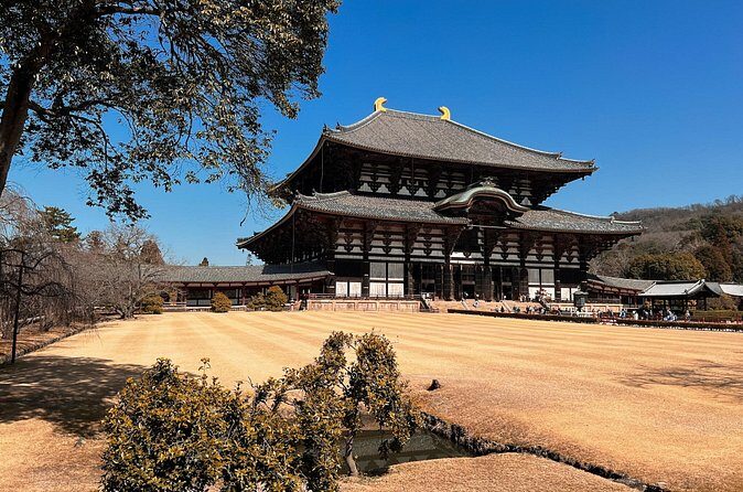 Nara and Fushimi Inari, the sacred heart of Japan - Who Is This Tour Best For?