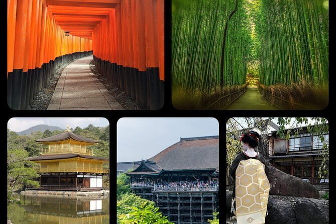 NARA and KYOTO 1 Day Bus Tour - What We Like & What to Consider