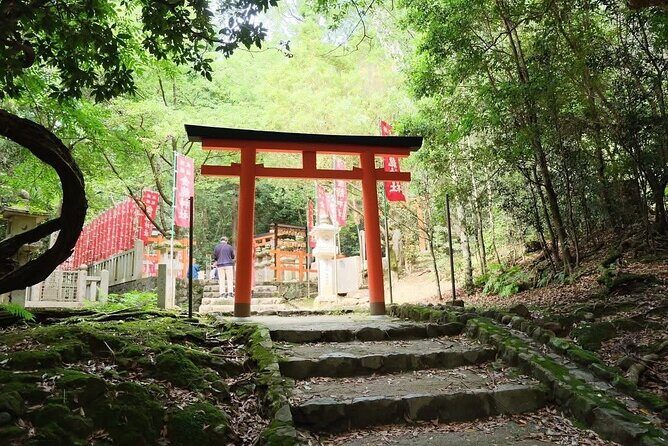 Nara and kyoto adventures private vehicle tour - An In-Depth Look at Your Kyoto and Nara Day