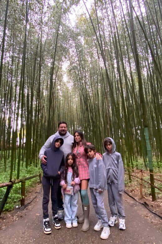 Nara and Kyoto Tour - Analyzing the Price and Overall Value