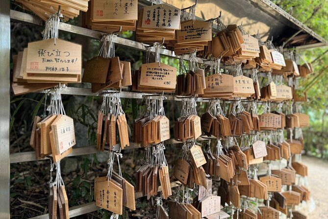 Nara: Asuka, Ancient Capital & Future Heritage Private Tour - Who Will Love This Experience