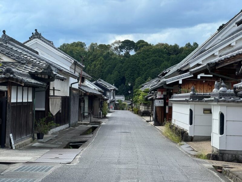 Nara: Asuka, Ancient Capital & Future Heritage Private Tour - Key Points