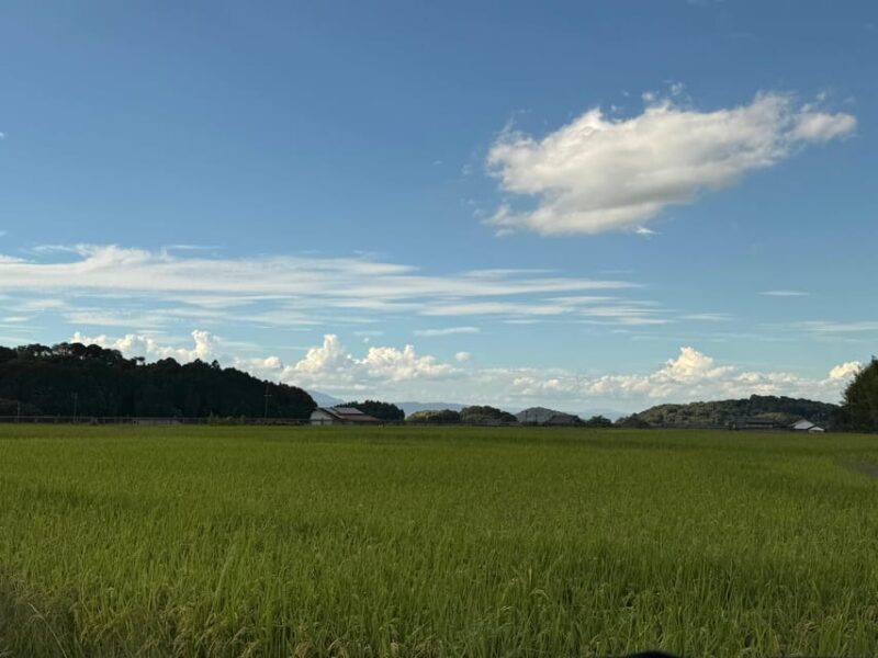 Nara: Asuka, Ancient Capital & Future Heritage Private Tour - An In-Depth Look at the Asuka Tour