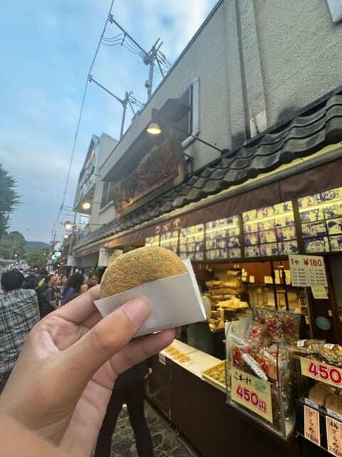 Nara attractive tour with local guide (4hours) - Final Thoughts on This Nara Tour