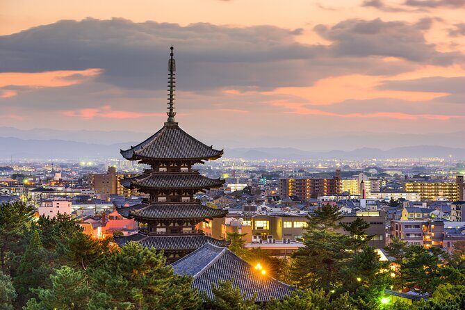 Nara Car Tour from Kyoto: English speaking Driver Only, No Guide - An In-Depth Look at the Experience