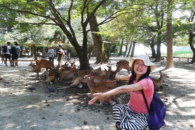 Nara Day Trip with Deer Park & Historic Temples,Shrine from Osaka - Key Points