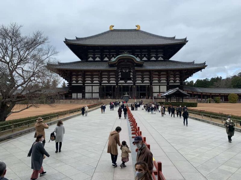 Nara: Deer, Great Buddha & Traditional Mochi Experience - Frequently Asked Questions