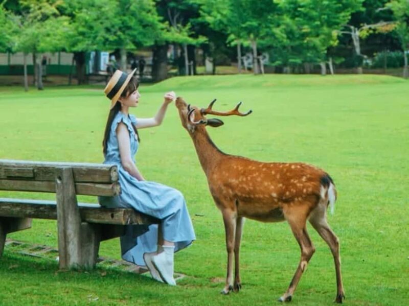 Nara: Deer Park & UNESCO Sites Day Trip with Hotel Pickup - FAQ