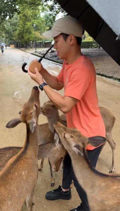 Nara: Deer, Temples, and Hidden Lanes Tour - Key Points