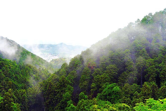 Nara: Discover a Giant Stone Buddha in the Forest Hills - The Itinerary in Detail