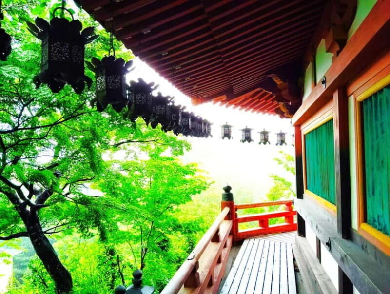 Nara: Discover a Giant Stone Buddha in the Forest Hills - Key Points