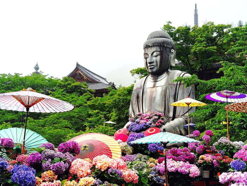 Nara: Discover a Giant Stone Buddha in the Forest Hills - Who Will Love This Tour?