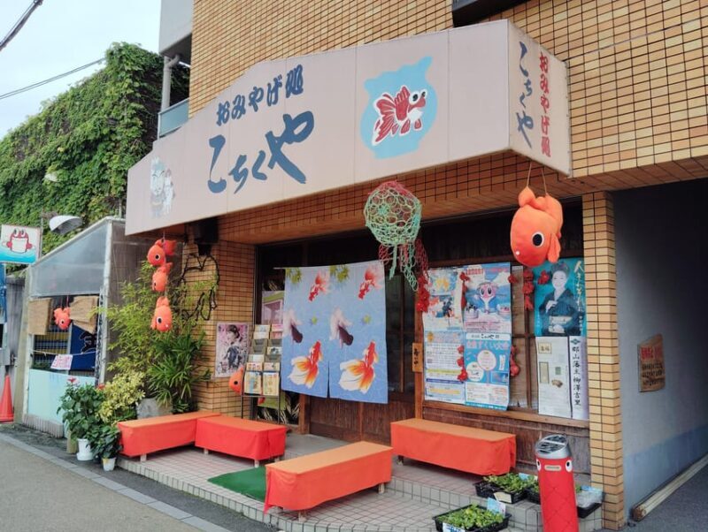 Nara: Discover Koriyamas Goldfish Charm - 2-Hour - Who Will Enjoy This Tour?