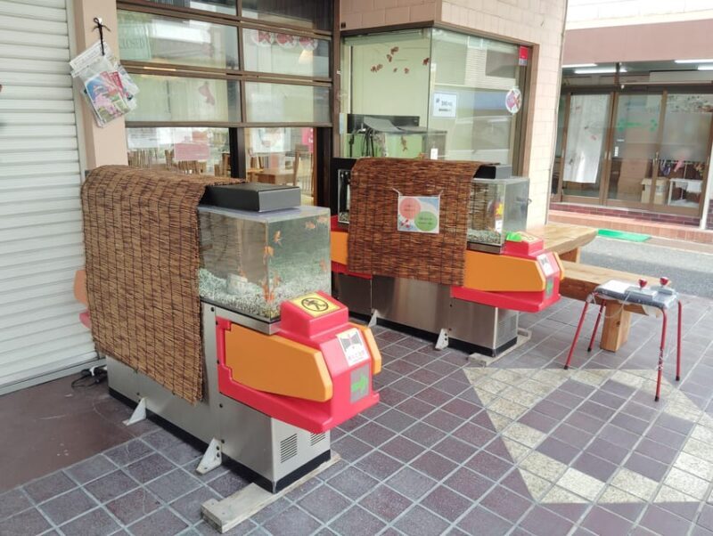 Nara: Discover Koriyamas Goldfish Charm - 2-Hour - The Sum Up: Why This Tour Is Worth Your Time