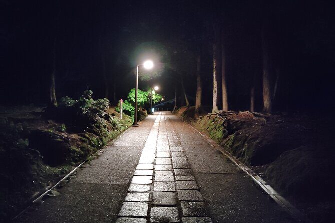 Nara: Discover Timeless Beauty in a Peaceful Night Stroll - Who Should Consider This Tour?